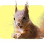 Demo Script Examples: 7 Formats That Actually Convert